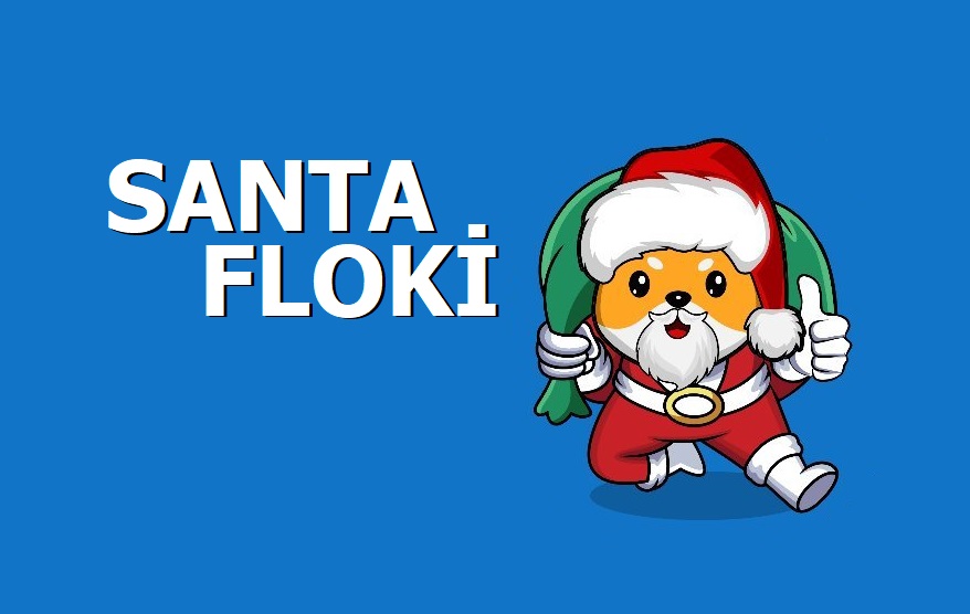 Santa Floki Elon Musk'ın Tweetinin Ardından 180 Kat Arttı - Paranfil