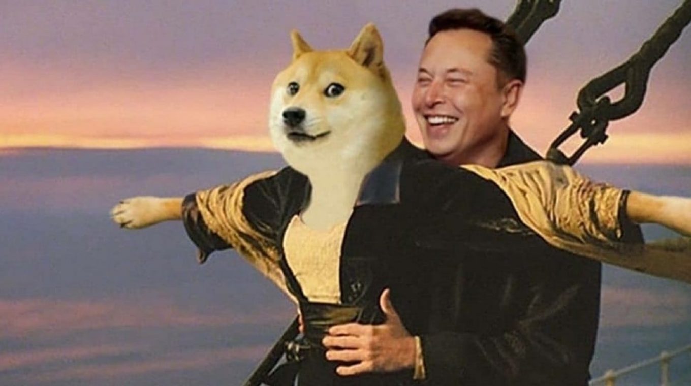 Dogecoin Elon Musk'ın Tweeti Sonrası Yükselişe Geçti - Paranfil