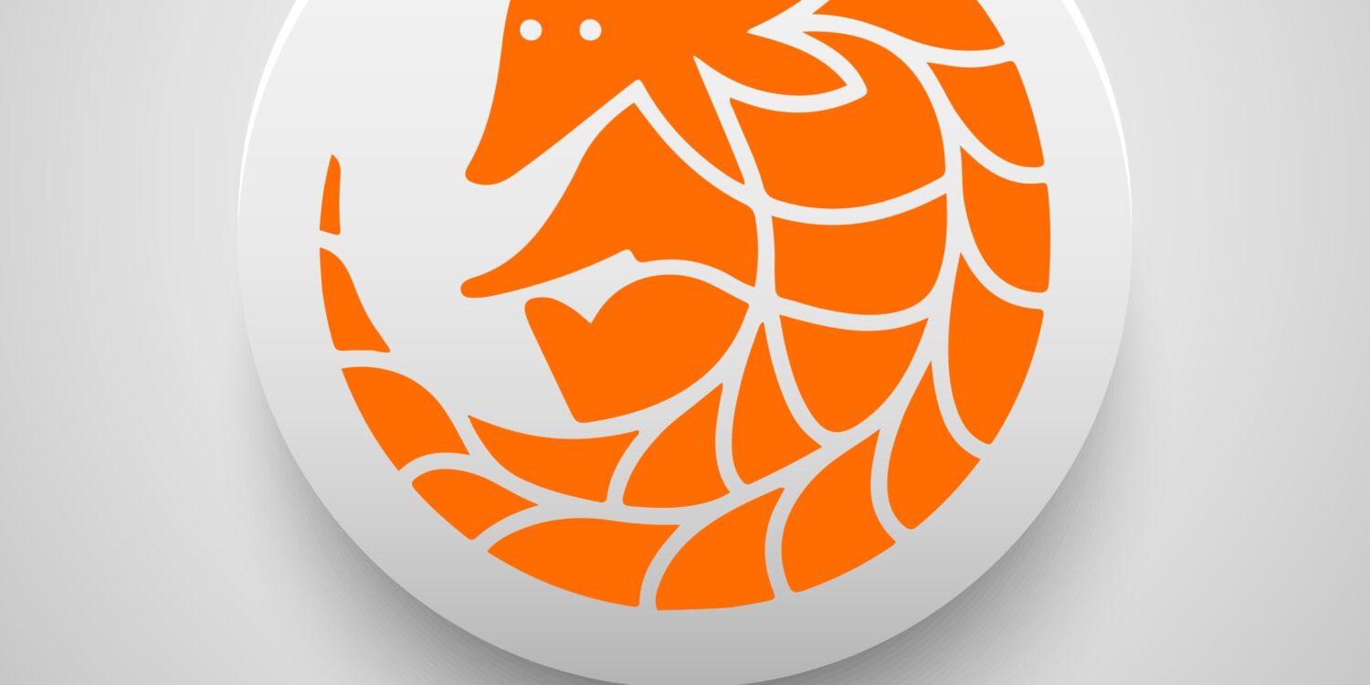 Pangolin Exchange Nedir? Nasıl Kullanılır? - Paranfil